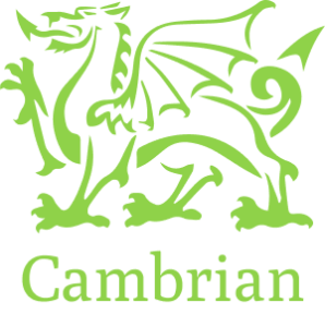 Services – Cambrian Environmental